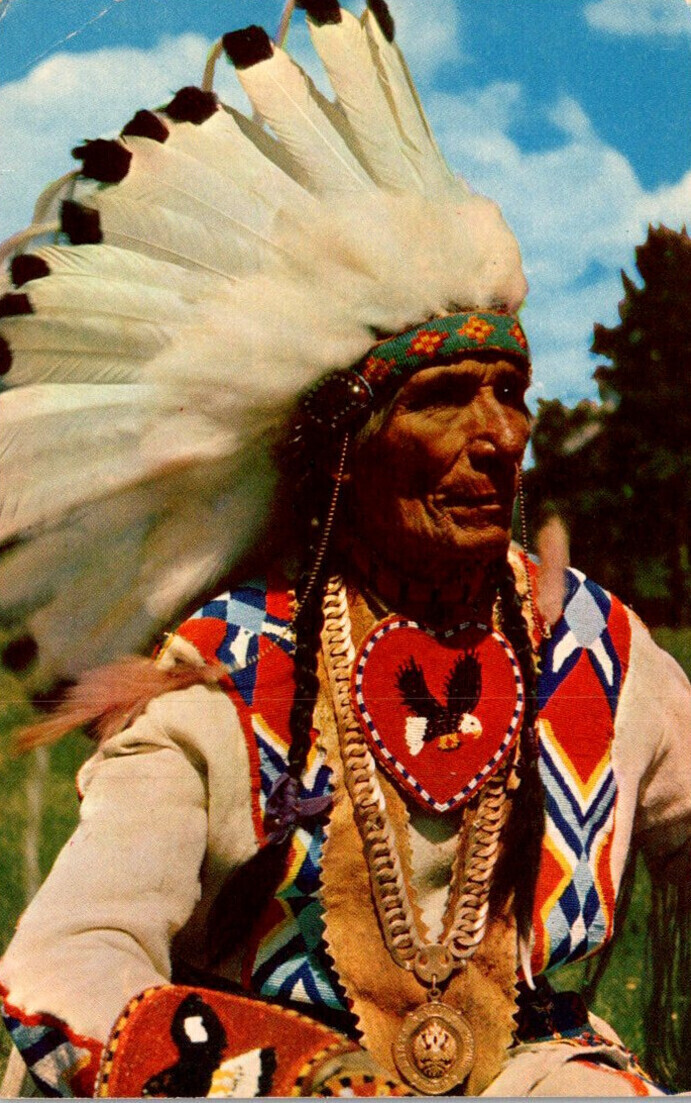Indian Chief In Full Regalia | Topics - Cultures & Ethnicities - Native ...