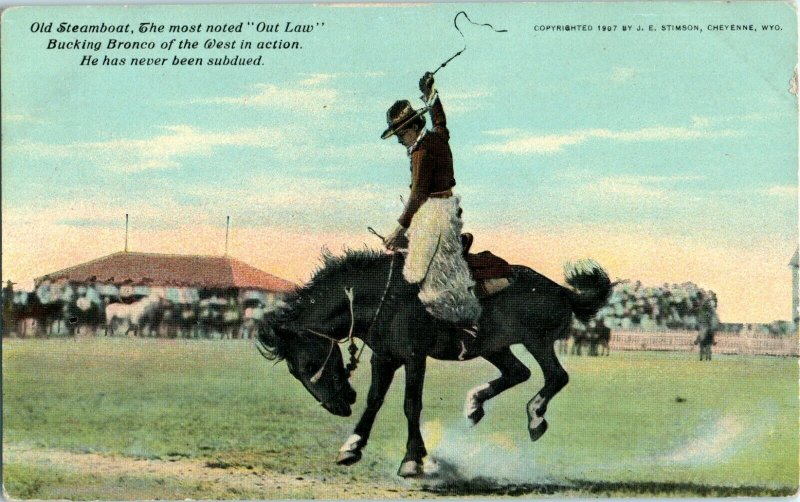 Cheyenne, Wyoming 1907, OLD Steamboat the Outlaw Bucking Bronco of the ...