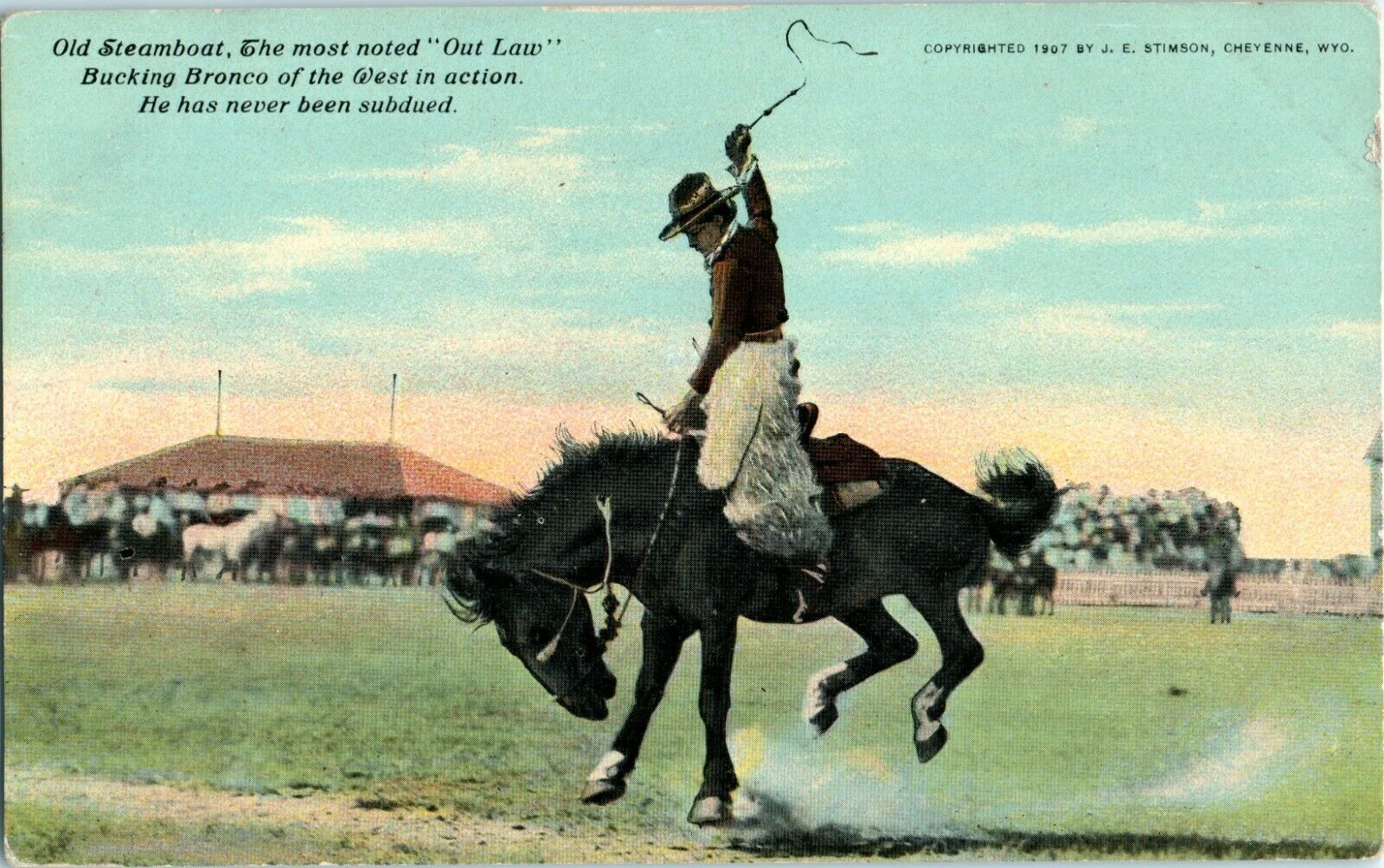 Cheyenne, Wyoming 1907, OLD Steamboat the Outlaw Bucking Bronco of the ...