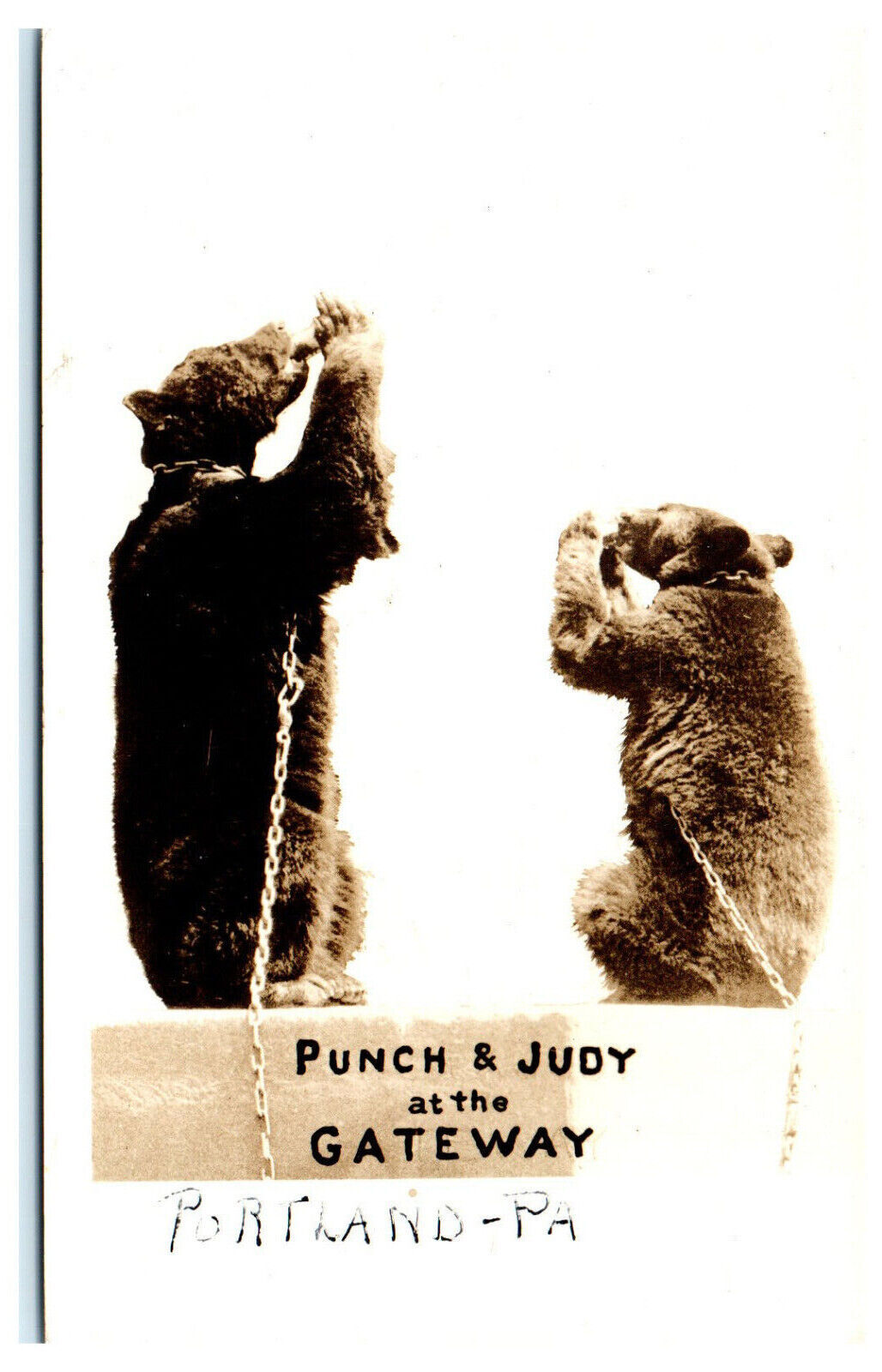1930s - 40s Punch & Judy at the Gateway Performing Bears RPPC Photo ...