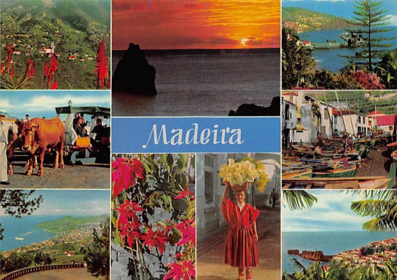 The Best Views Of The Best Views Of, Madeira | Topics - Other, Postcard ...