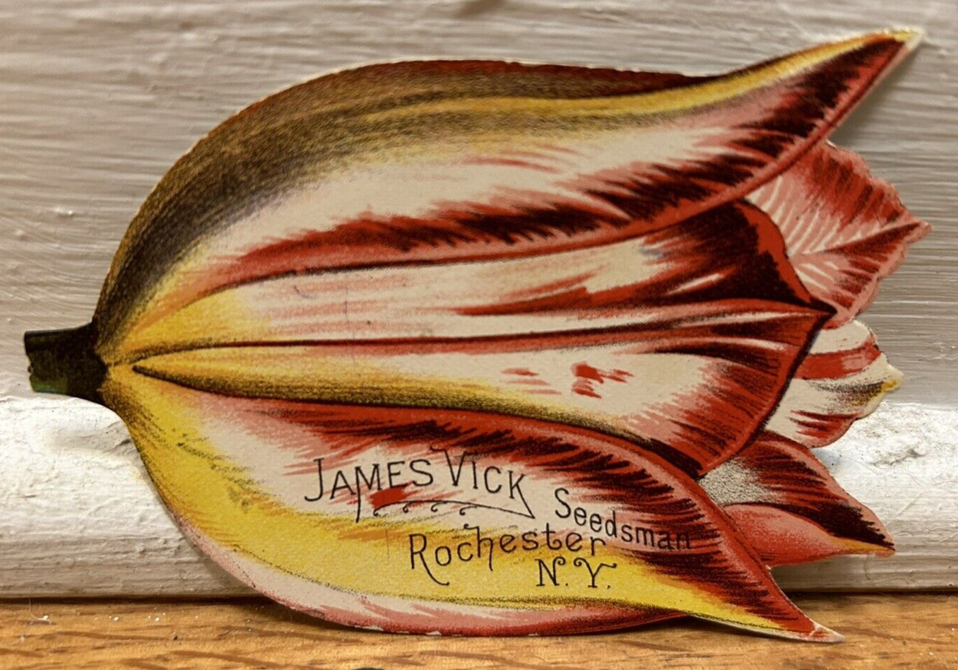 Rare James Vick Seedsman Trading Card Victorian Tulip Rochester New ...