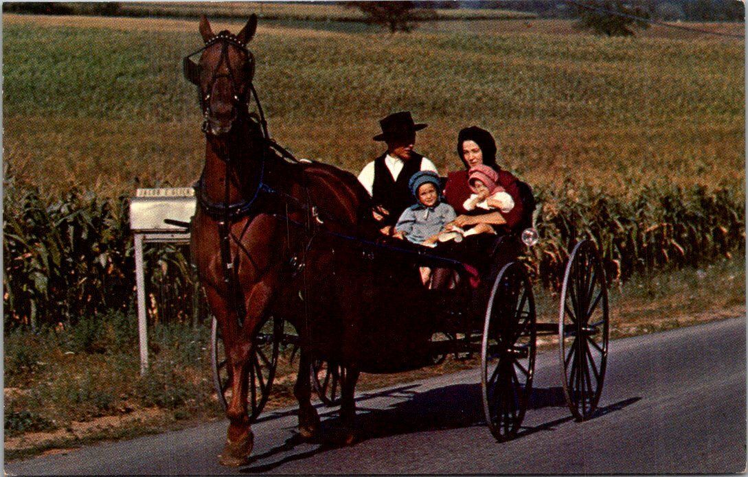 Pennsylvnia Amish Country Amish Family With Horse and Buggy | United ...