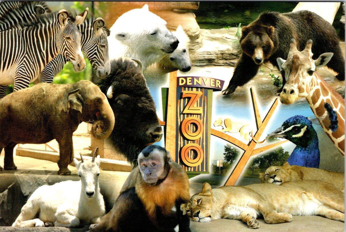 2~4X6 Postcards Denver, CO Colorado DENVER ZOO SCENES/HABITATS & ANIMAL ...