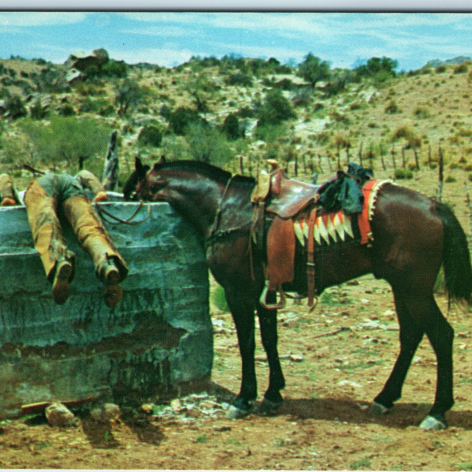 c1970s Benson, AZ Cancel Cowboy Horse Drink "Fer Refreshin'" Comic ...