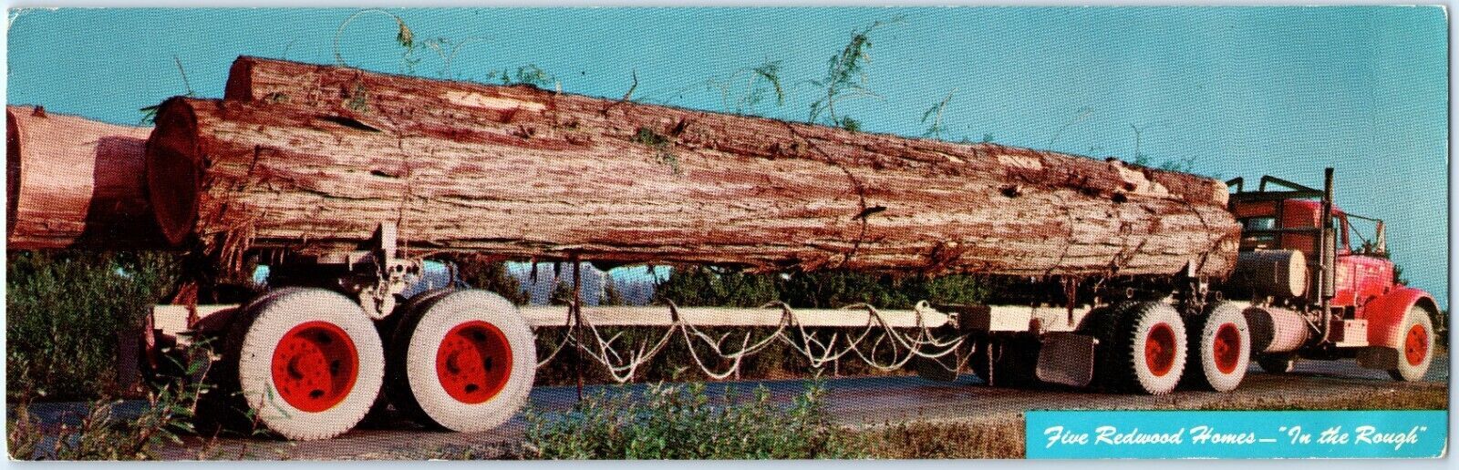 11" Oversized c1960s California Redwood Tree Lumber Logging Hauling ...