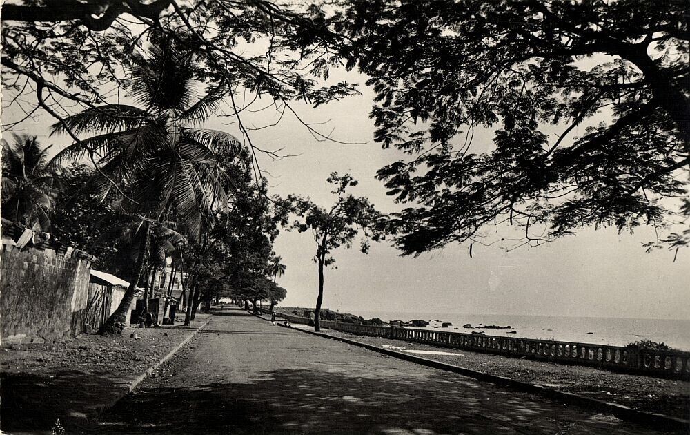 french guinea, CONAKRY, La Corniche (1950s) Hoa-qui RPPC Postcard ...