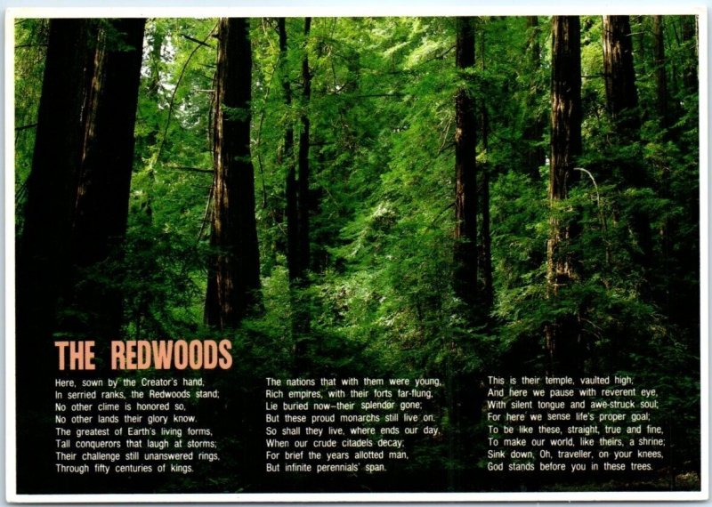 Postcard - "The Redwoods" Poem by Joseph B. Strauss | Other / Unsorted ...