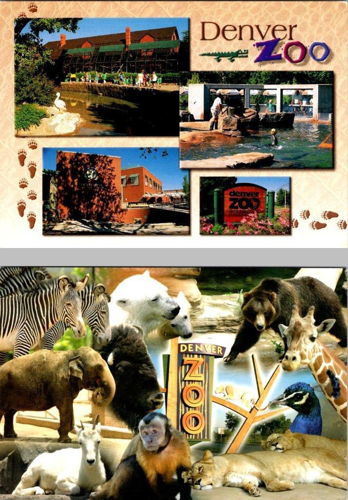2~4X6 Postcards Denver, CO Colorado DENVER ZOO SCENES/HABITATS & ANIMAL ...