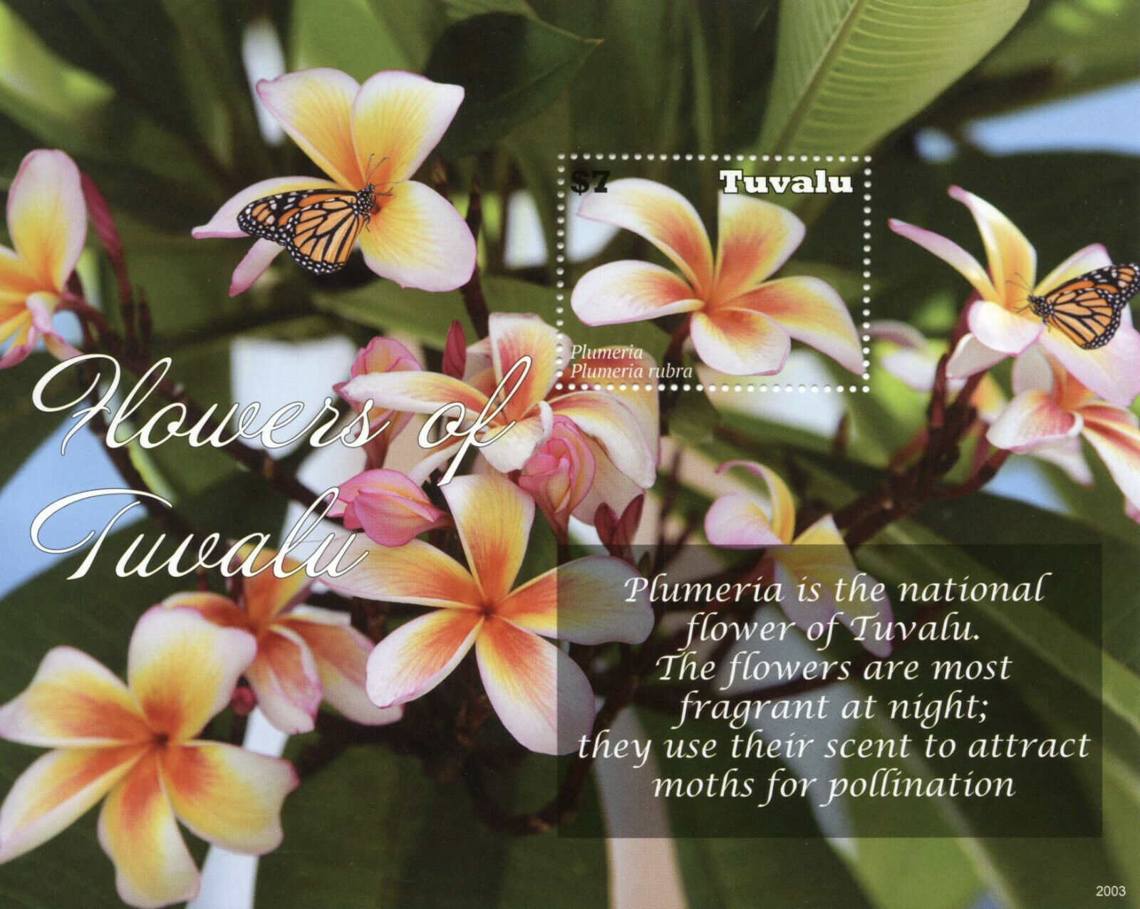 Tuvalu Flowers Stamps 2020 MNH Plumeria National Flower Flora ...