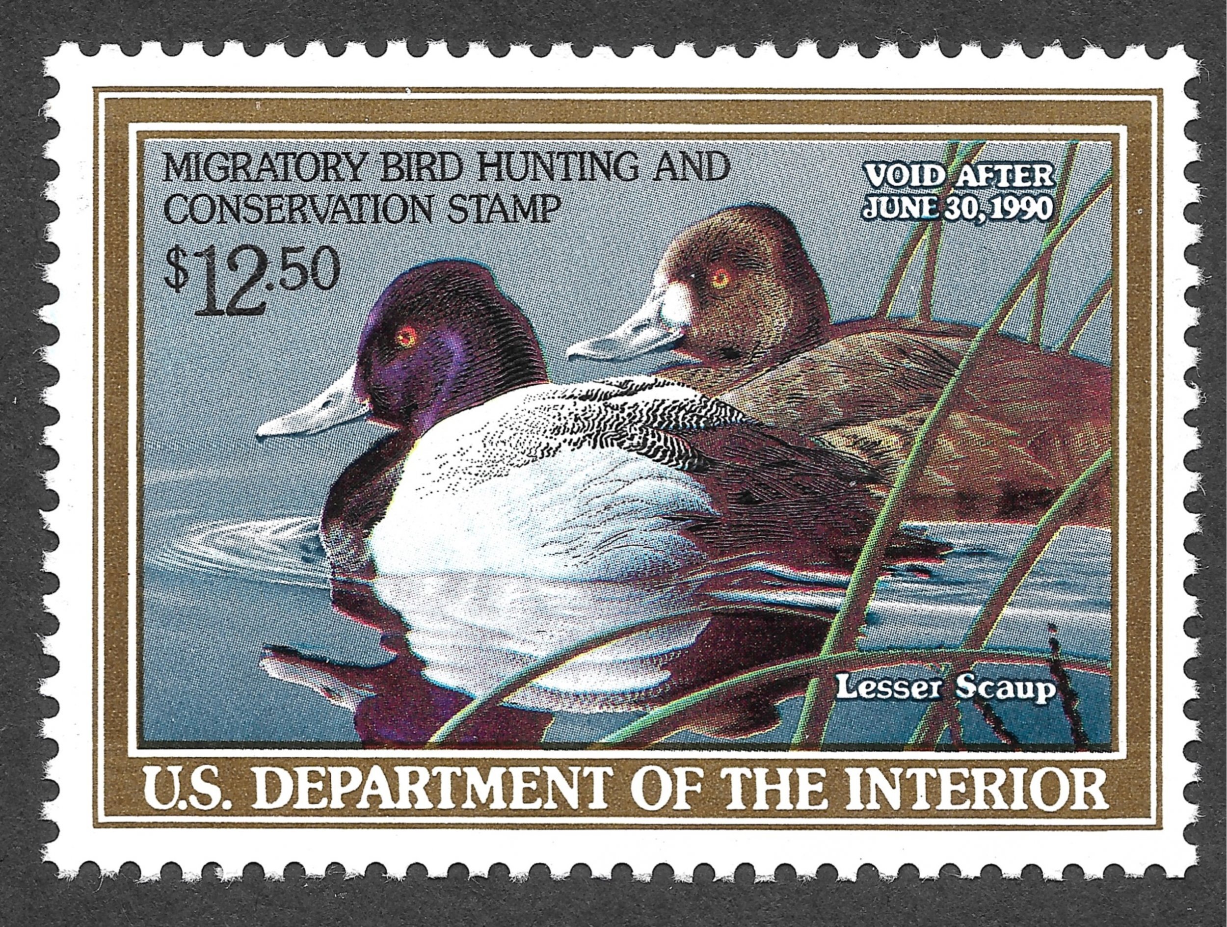 MNH 1989 Scott #RW56** Federal Duck Stamp | United States, Duck Stamps ...