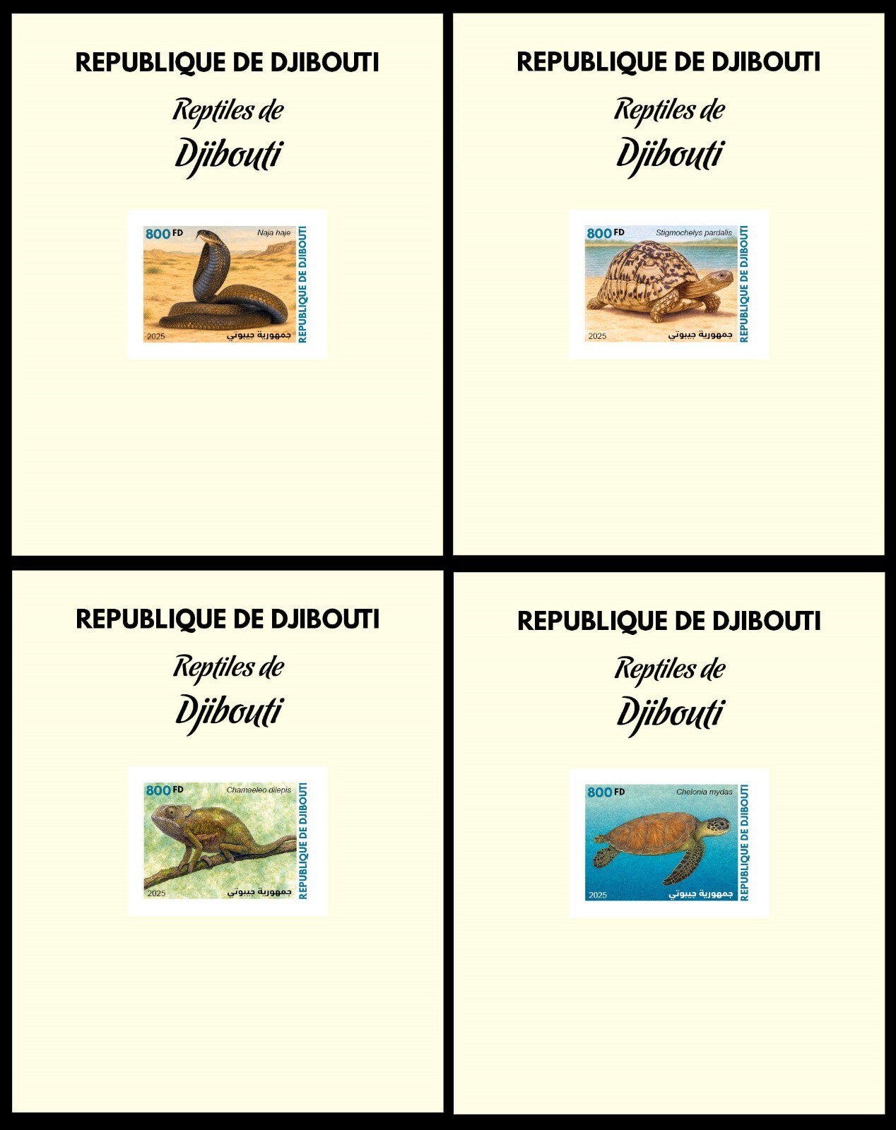 Djibouti 2025 4 X Deluxe Proof - Reptiles - Turtle Turtles Snakes ...