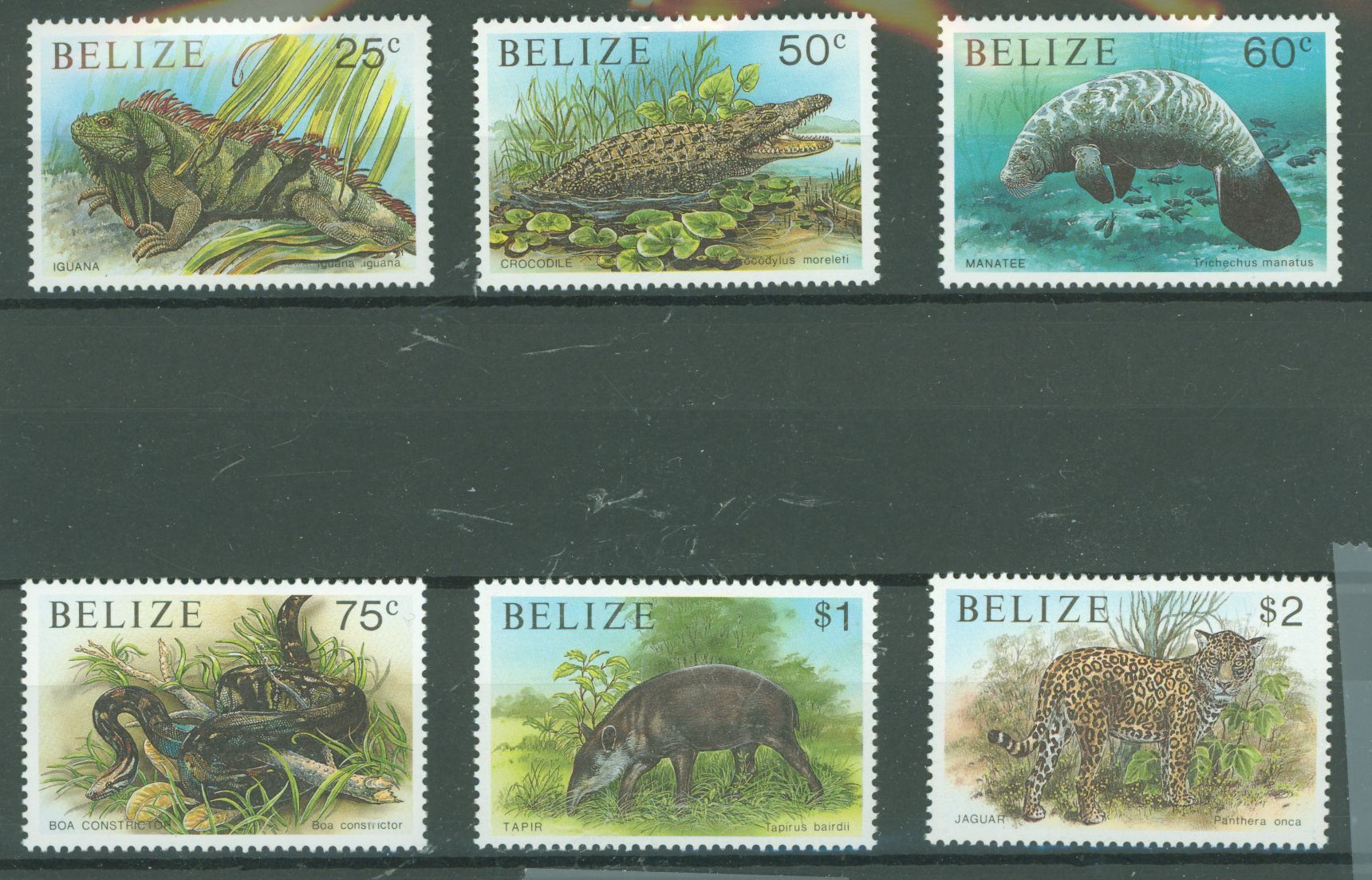 Belize #963-968 Single (Complete Set) | Central & South America ...