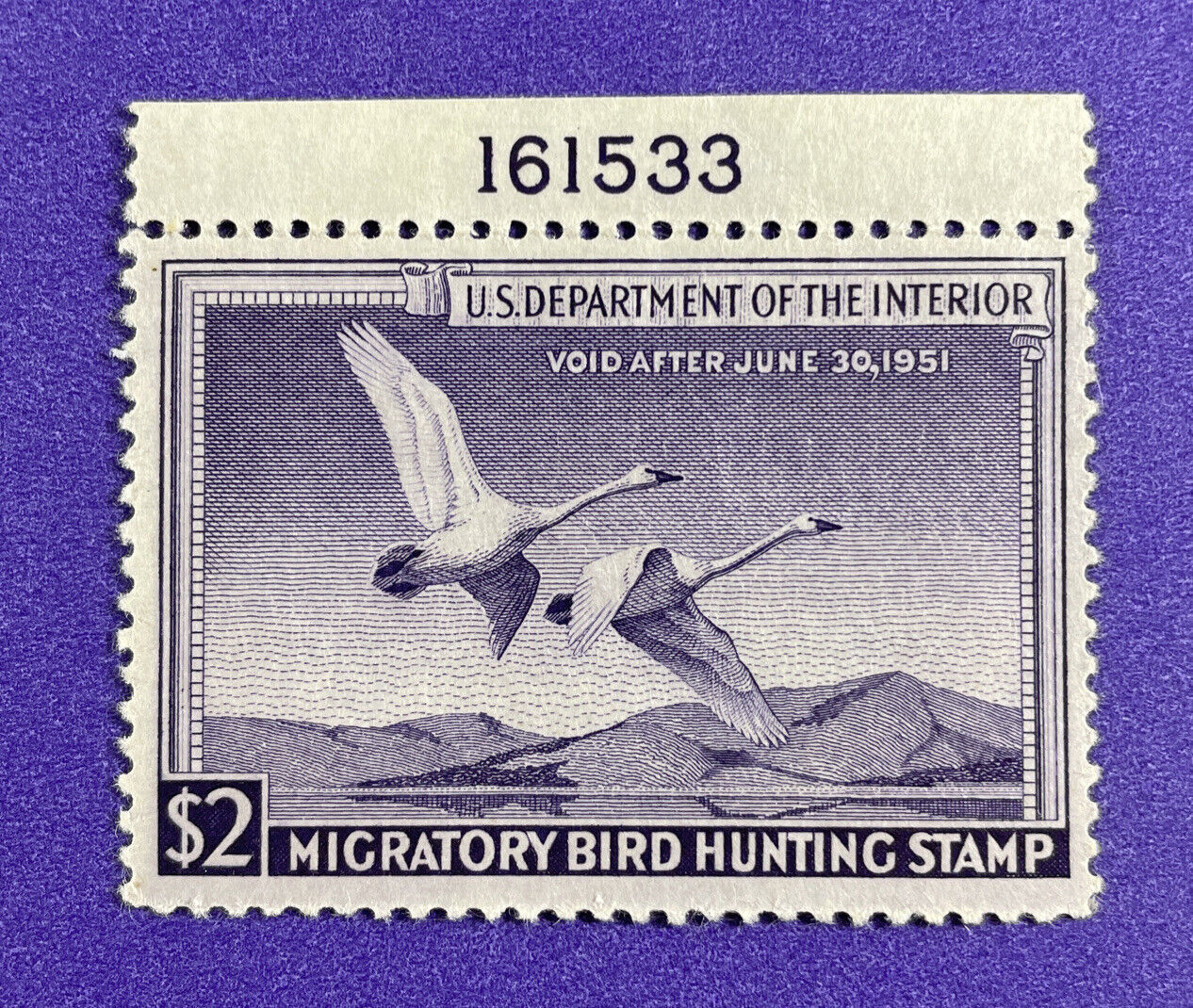 RW17 US Federal Duck Stamp 1950-1951 TRUMPETER SWANS $2 MNH | United ...
