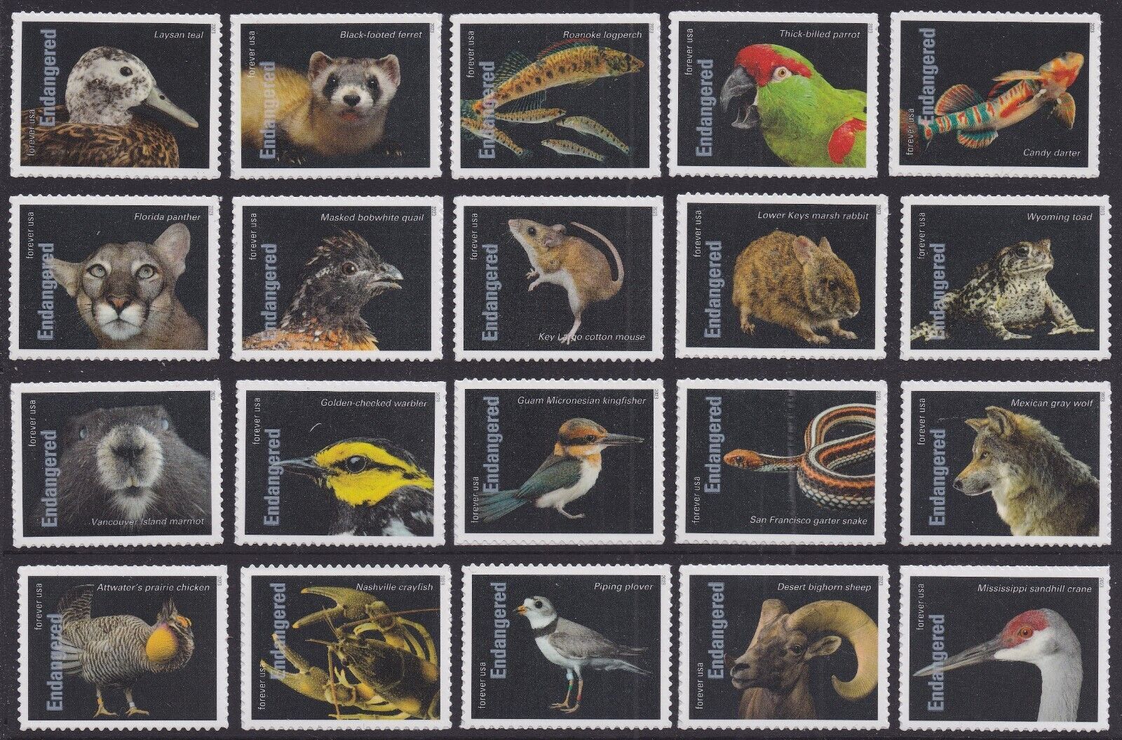 US 5799a-5799t Endangered Species forever set (20 single stamps) MNH ...