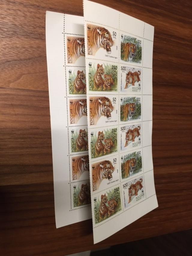 Russia 1993 FOLDED SHEET WWF Animal Fauna Siberian Tiger Nature Mammal ...