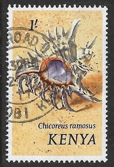 Kenya # 45 - Branched Murex, Sea Shell - used.....{KBl14} | Africa ...