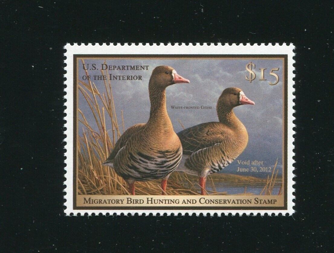 RW78 White Fronted Geese Federal Duck Stamp MNH 2011 | United States ...