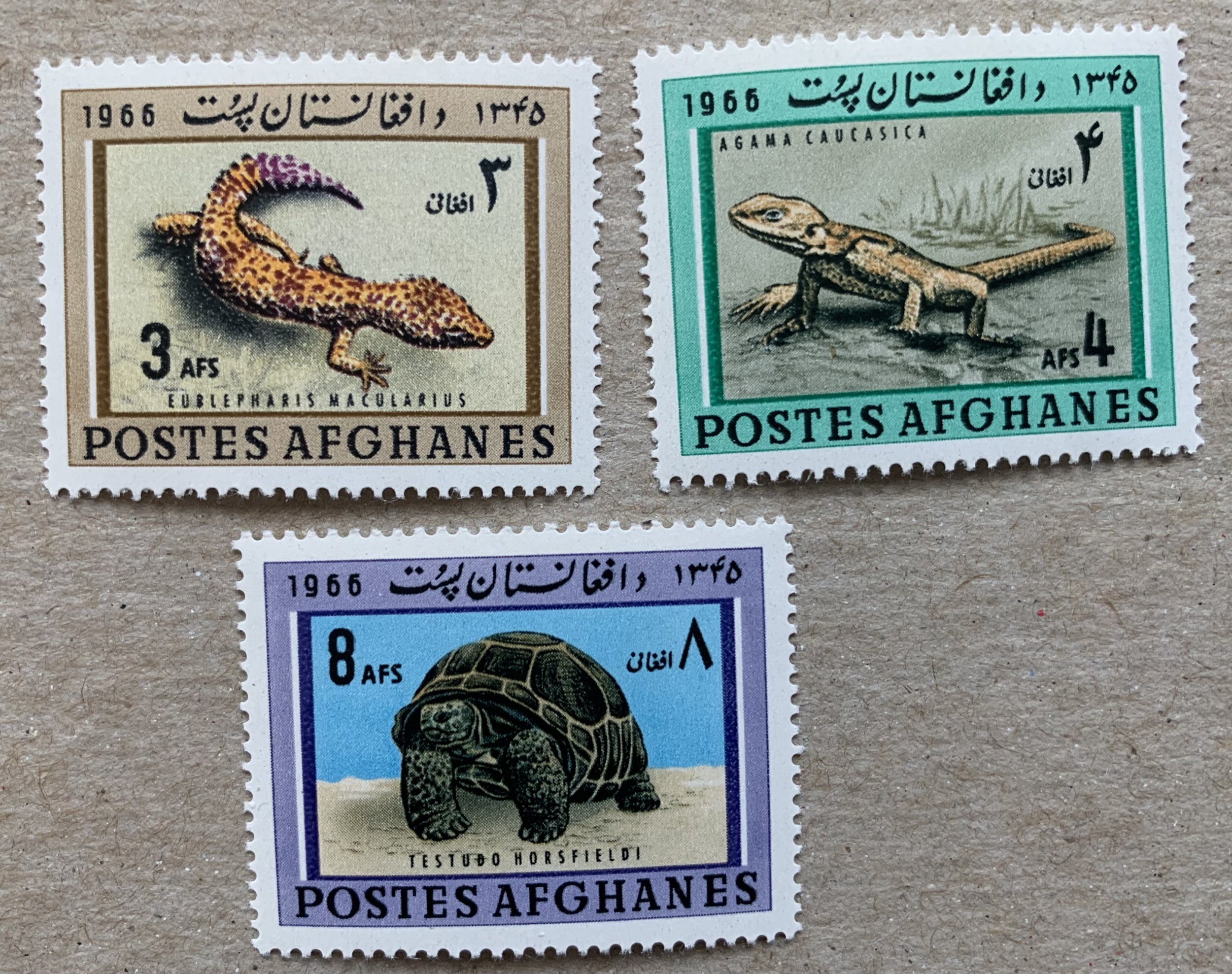 Afghanistan 1966 Reptiles, MNH. Scott 724-726, CV $3.75. Gecko, lizard ...