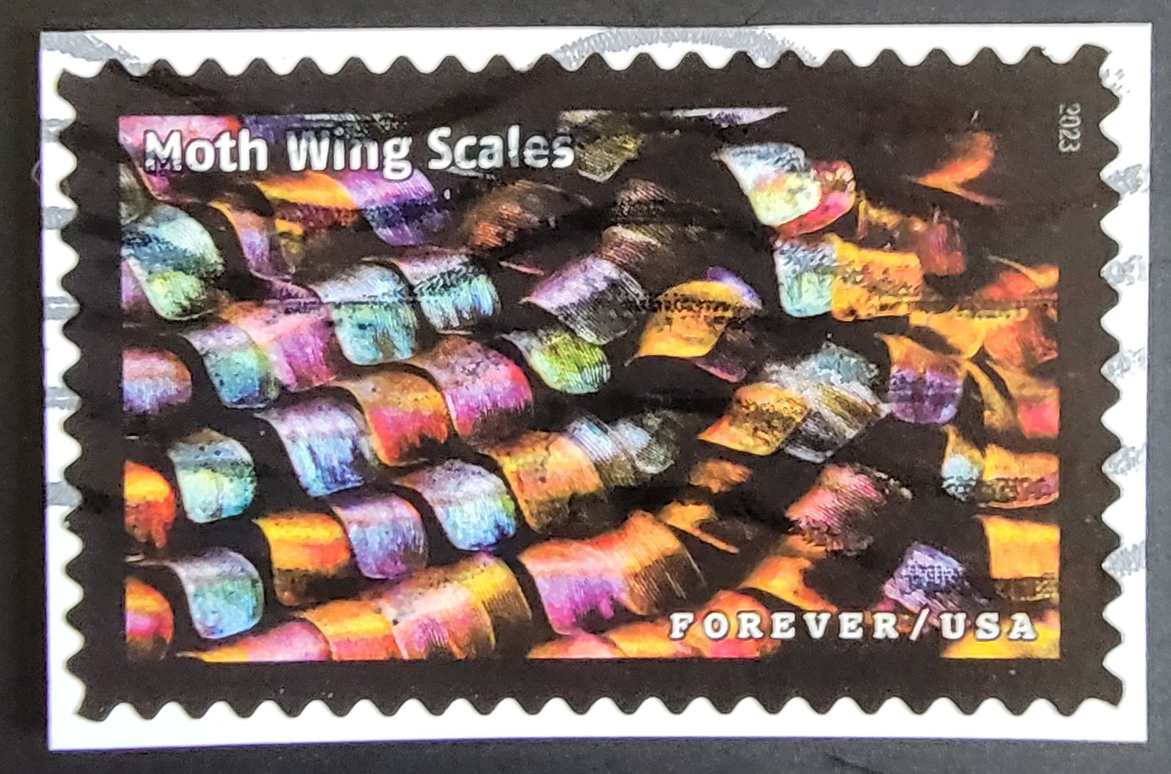 US 5802l (2023 Life Magnified - Moth Wing Scales) | United States ...