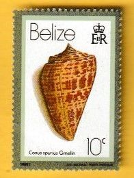 Belize Scott#476 1980 10c West Indian Alphabet Cone Seashell - MNG ...