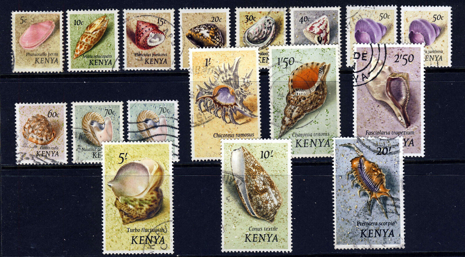 KENYA 1971 The Complete Sea Shells Set SG 36 to SG 52a VFU | Africa ...