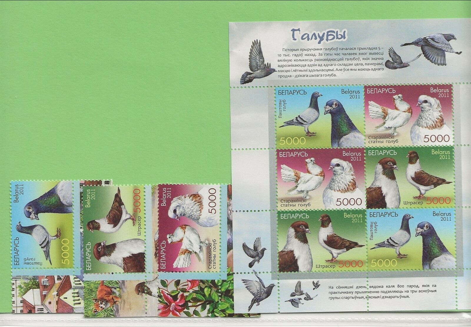 Belarus Sc 789-91A NH Set+Minisheet of 2011 - Birds - Pigeons | Europe ...