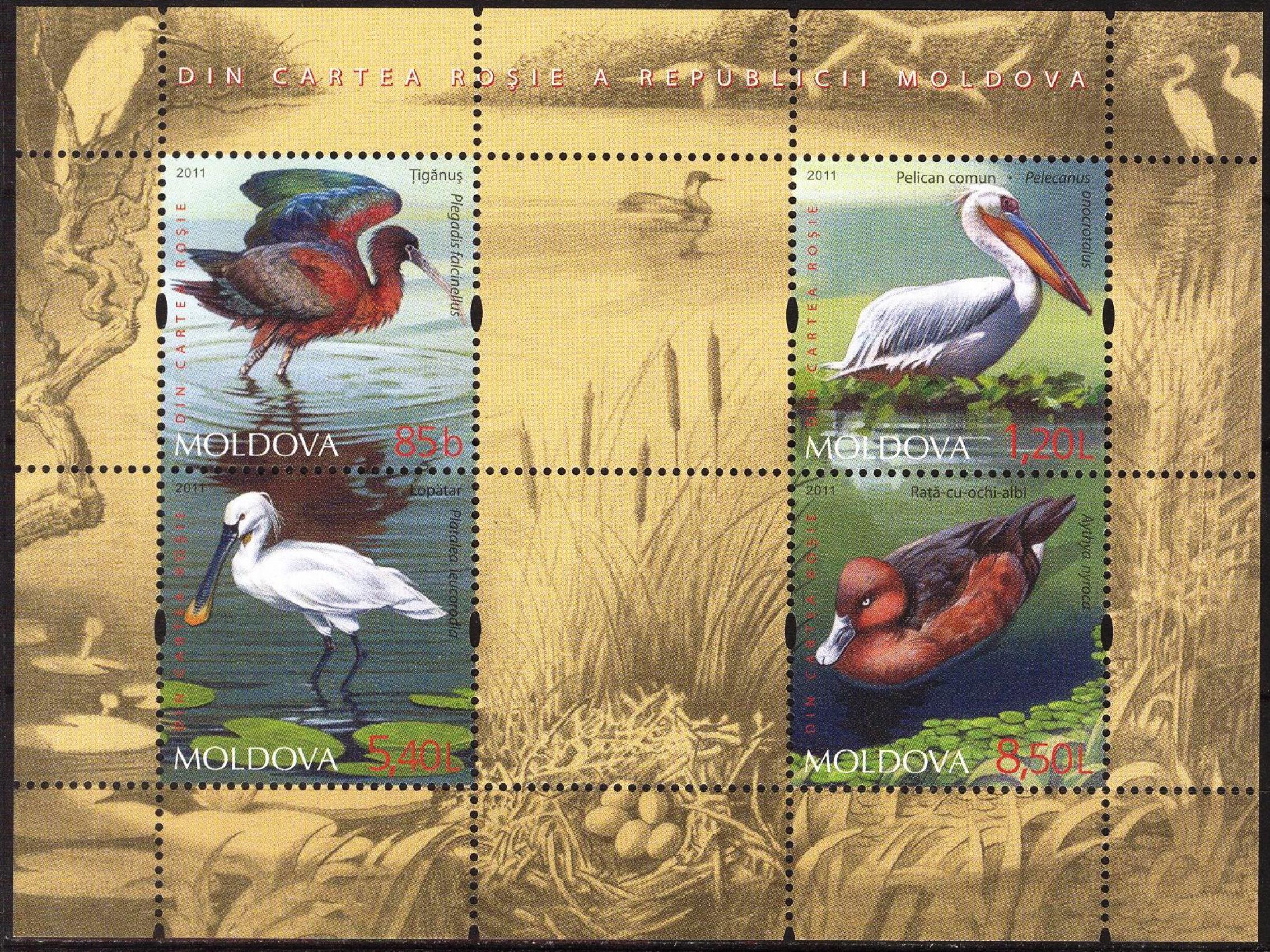 Moldova 2011 Fauna of Moldova Birds S/S MNH** | Europe - Moldova ...
