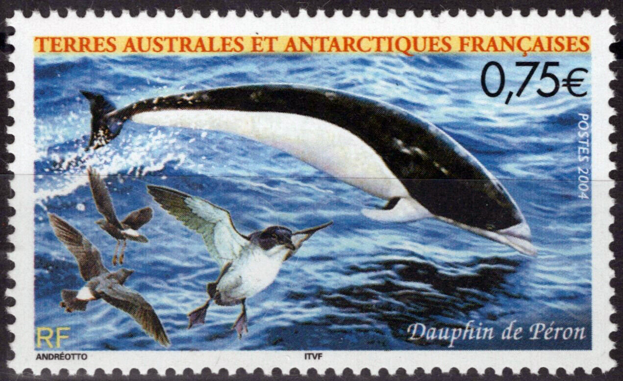 ZAYIX FSAT TAAF 334 MNH Peron's Dolphins Marine Life Polar Antarctic ...