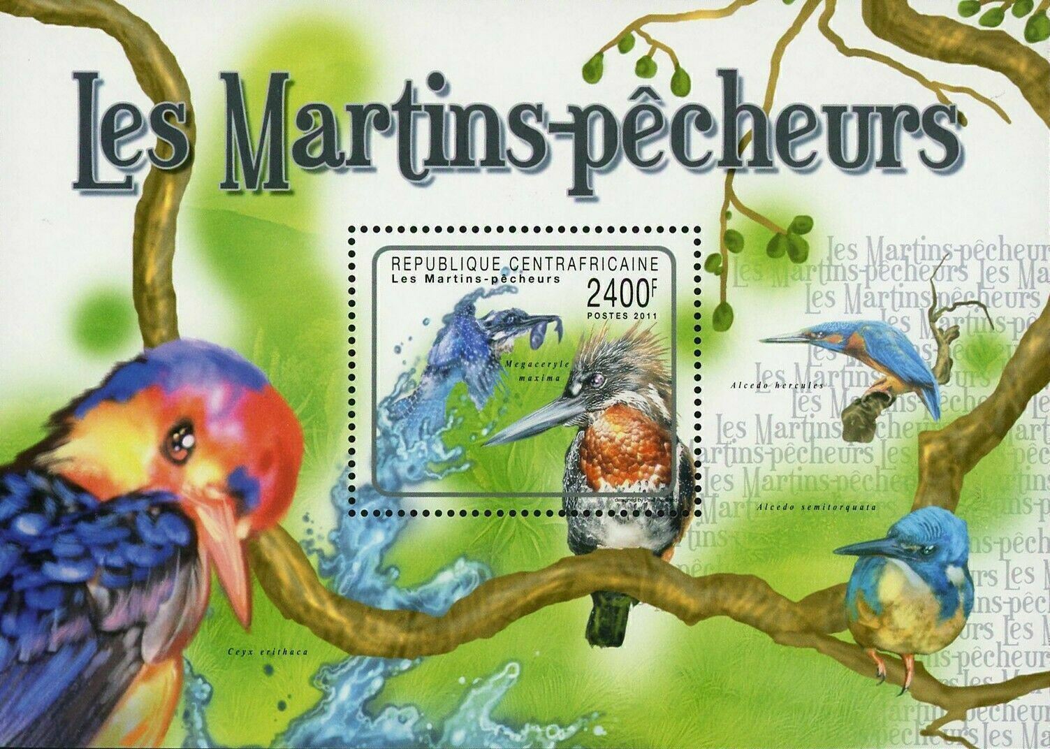 Kingfishers Stamp Ceyx Erithaca Megaceryle Maxima Alcedo Hercules S/S ...