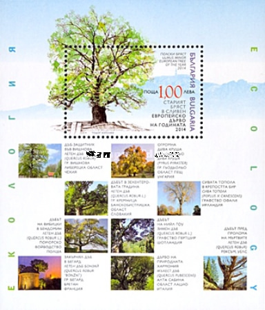 BULGARIA 2014 European Tree of the Year ss MNH / HipStamp