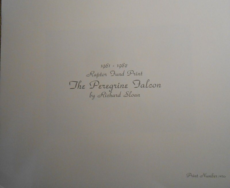 RF1 - Raptor Stamp Print With Folio & Stamp. #02 RF1prs | United States ...