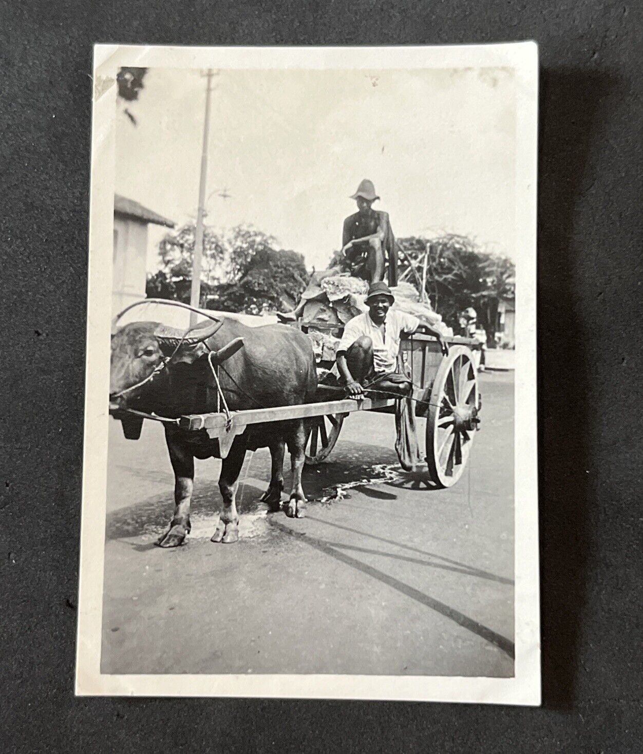 Ox Drawn Cart Ox Trail Of Pee WW2 WWII German Third Reich Military War ...