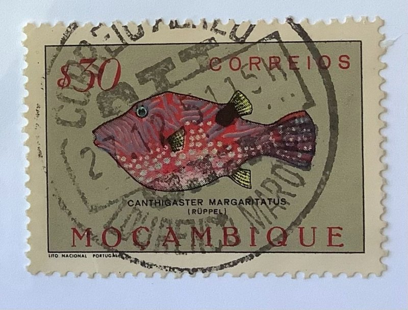 Mozambique 1951 Scott 336 used - 30c, Fish, Puffer, Canthigaster ...