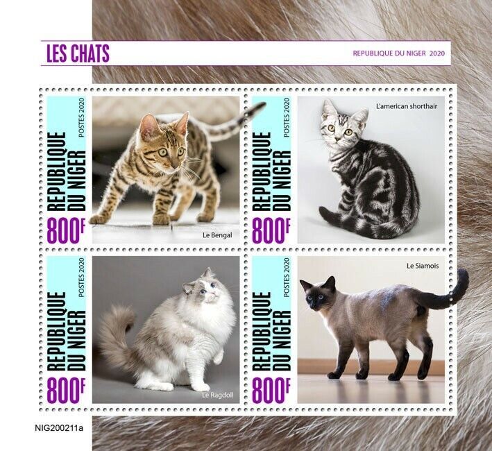 Niger Cats Stamps 2020 MNH Bengal American Shorthair Ragdoll Siamese ...