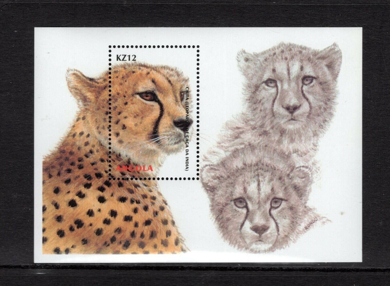 Angola #1134 (2000 Cheetah sheet) VFMNH CV $6.00 | Africa - Angola ...