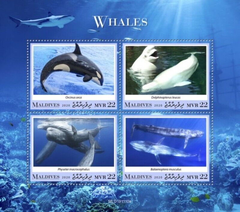 Maldives - 2020 Whales on Stamps - 4 Stamp Sheet - MLD191110a | Worldwide - Other, Stamp / HipStamp