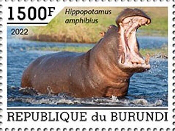 Burundi - 2022 Common Hippopotamus - Stamp - BUR2201018a | Africa ...