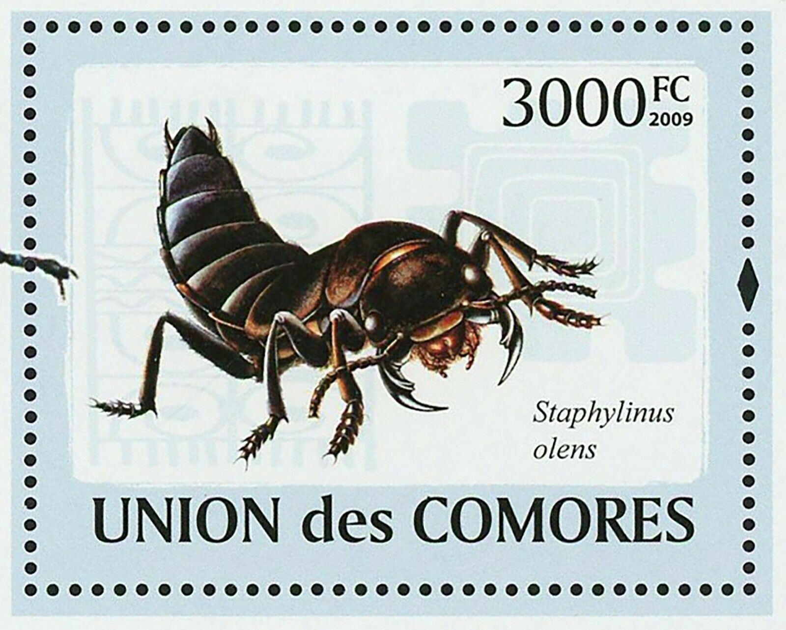 Beetles Stamp Onymacris Unguicularis Staphylinus Olens S/S MNH #2099 ...