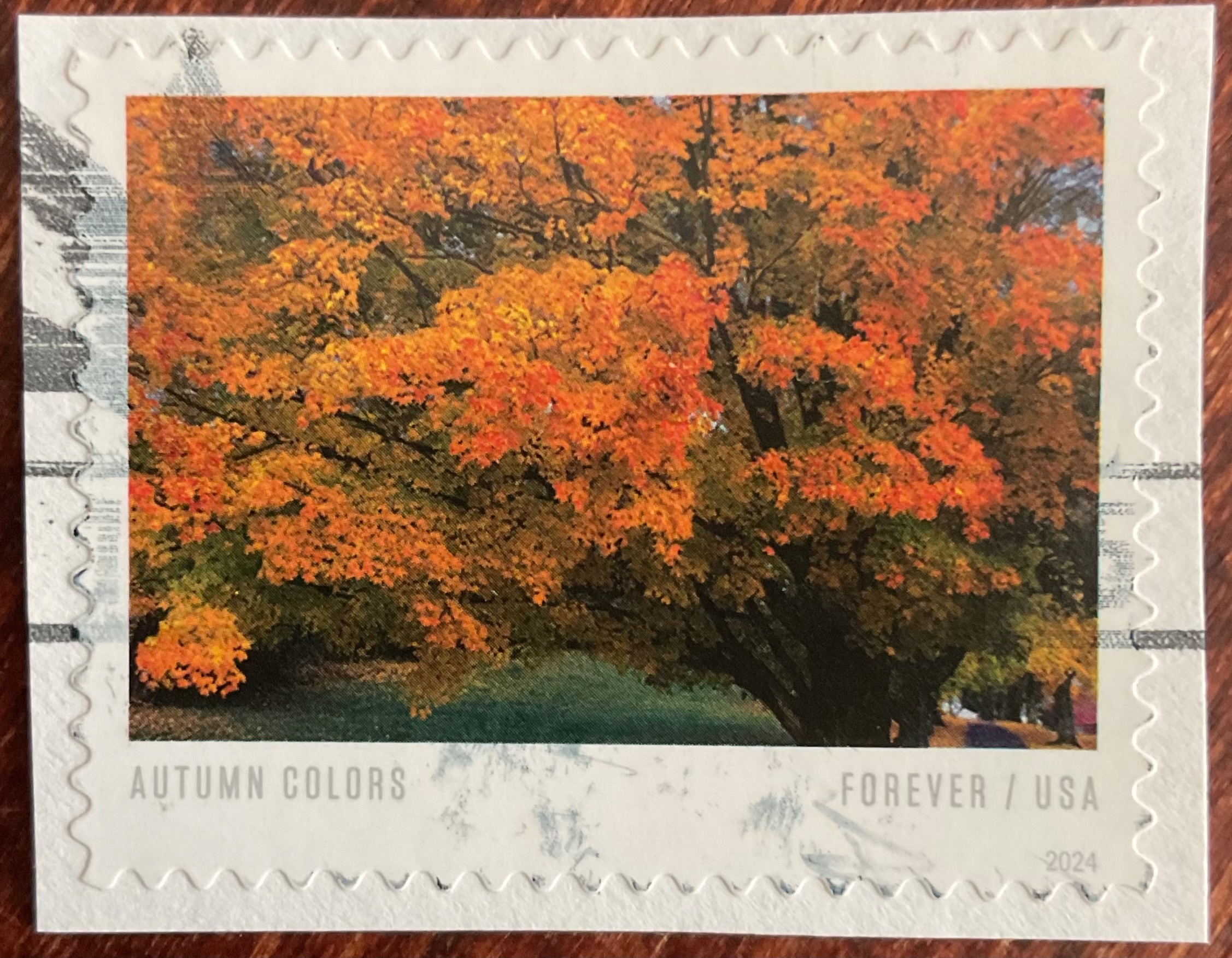 US #5933 Used Single OP Autumn Colors | United States, General Issue ...