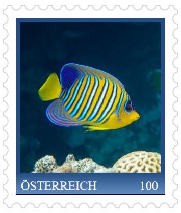 2023 Austria Peacock Angelfish (Scott NA) MNH | Europe - Austria, Stamp ...