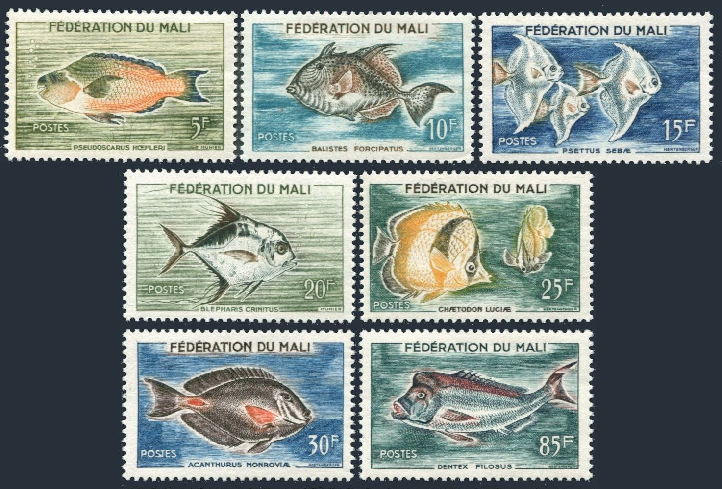 Mali 2-8, MNH. Michel 6-12. Fish 1960. | Africa - Mali, Stamp / HipStamp