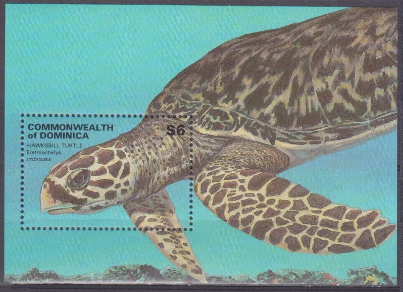 2001 Dominica 3084/B418 Reptiles / Turtles | Caribbean - Dominica ...