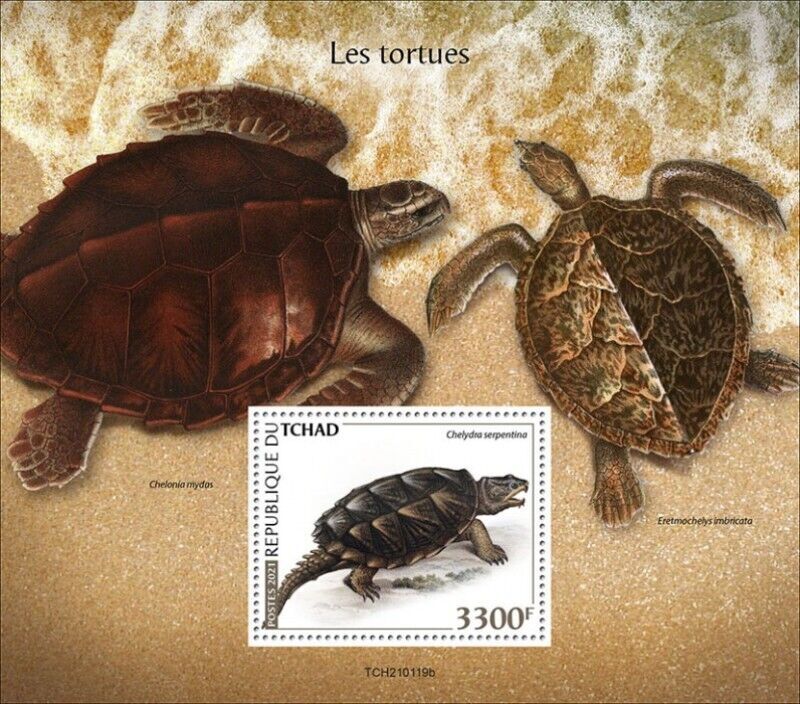Chad - 2021 Common Snapping Turtle - Stamp Souvenir Sheet - TCH210119b ...
