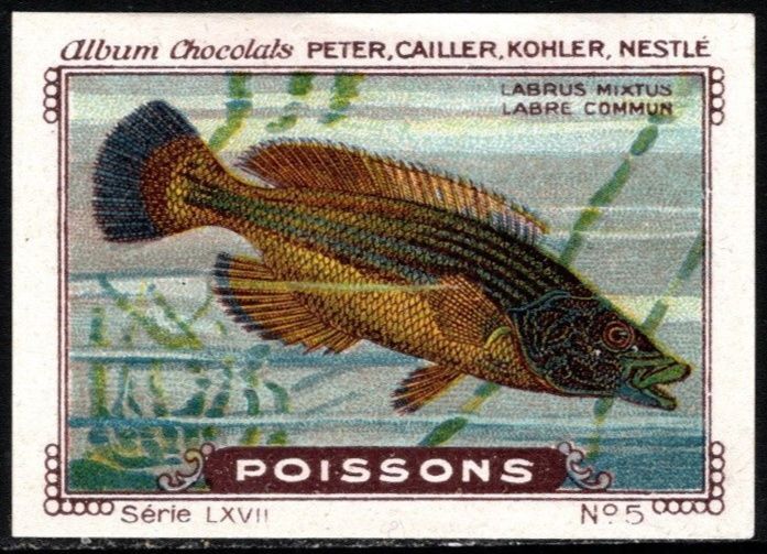 Vintage Swiss Poster Stamp Peter, Cailler, Kohler, Nestlé Fish Cuckoo ...