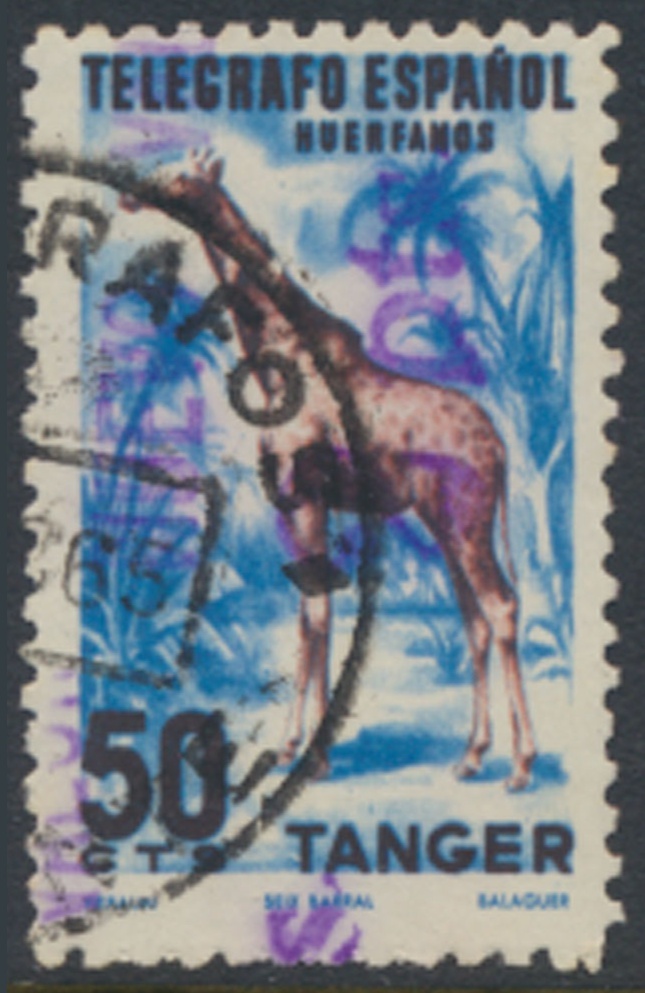 Spanish Tanger Animal Charity Label Telegraph see details scans ...