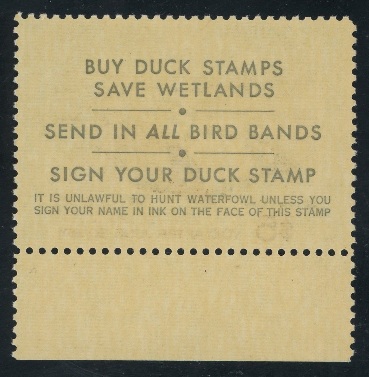 USA RW40 - 1973 Federal Duck Hunting Stamp - VF Mint nh margin single ...