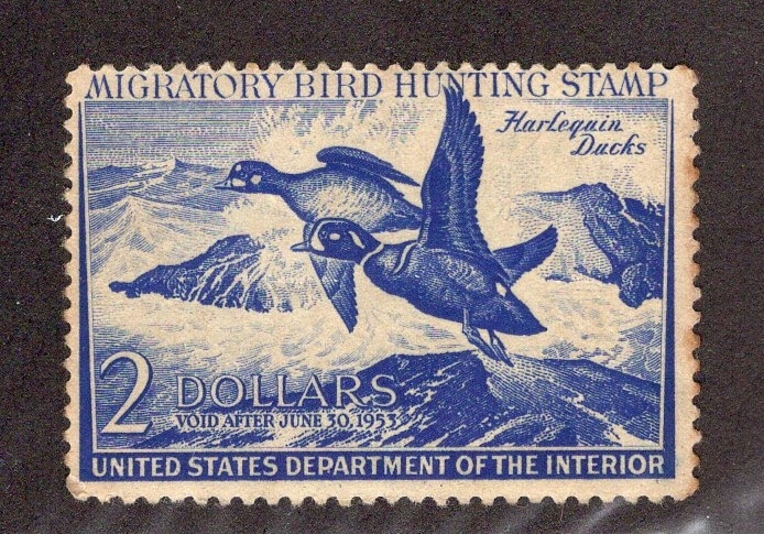 US #RW19 Duck Stamp *Minor Fault* ~JM-1470 | United States, Duck Stamps ...