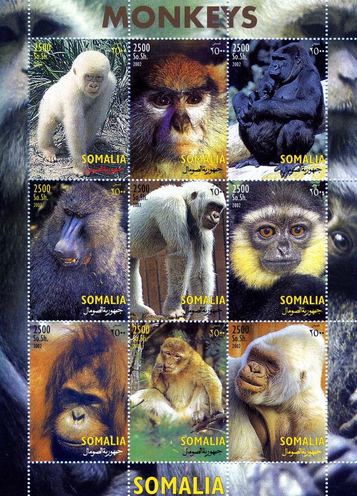 Somalia 2002 MONKEYS Sheet (9) Perforated Mint (NH) | Africa - Somalia ...