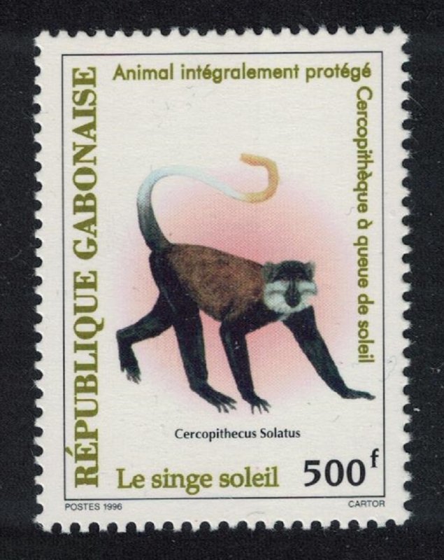 Gabon Endangered Species Sun-tailed Monkey 'Cercopithecus solatus' 1996 ...